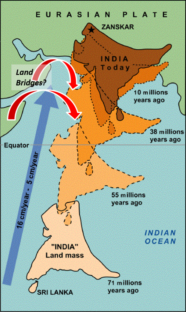 Do you know Meetei Are Hill Tribes of Manipur - The Manipur Journal